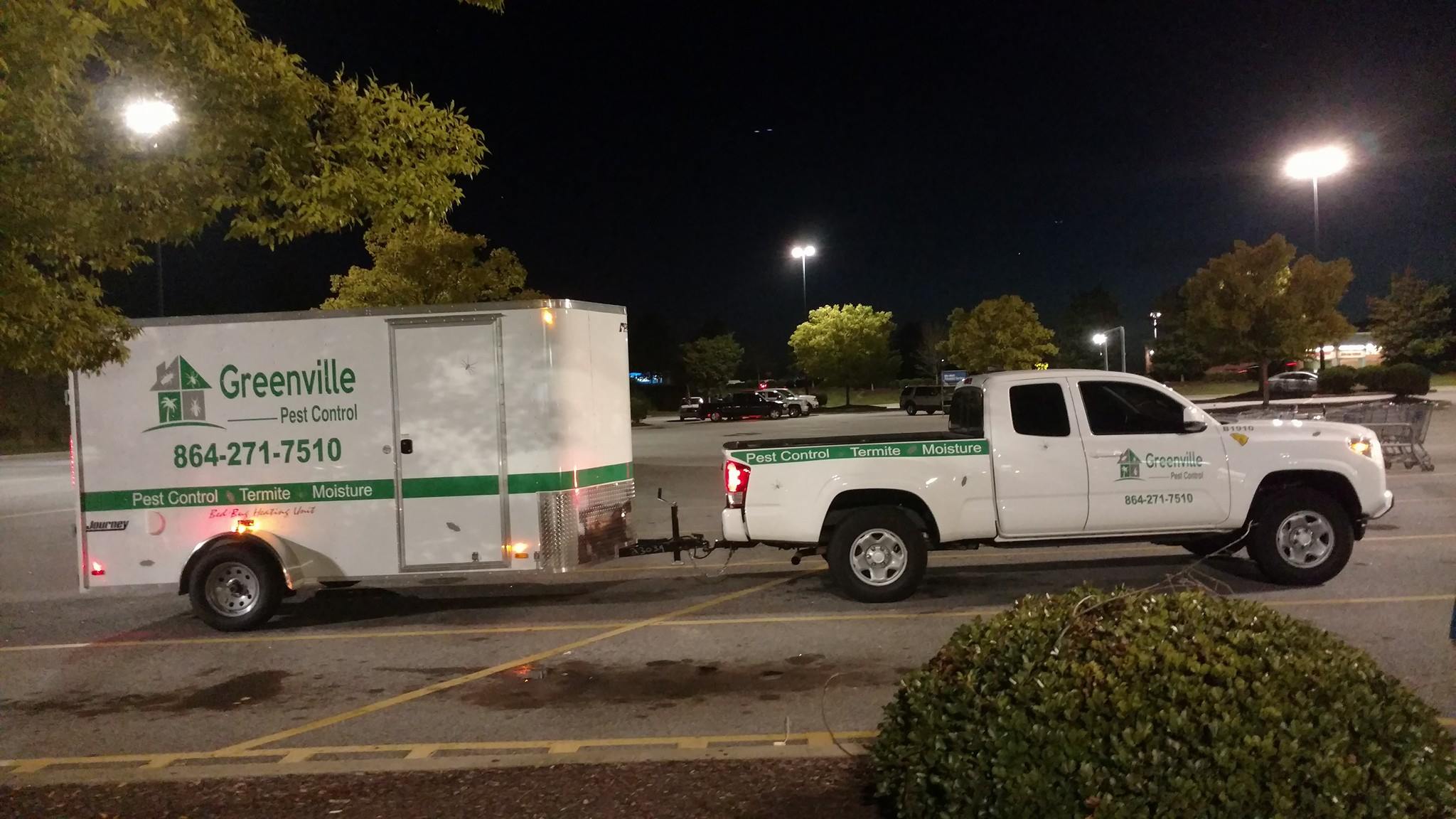 A Practical Guide To Effective Rodent Control For Greenville Homes