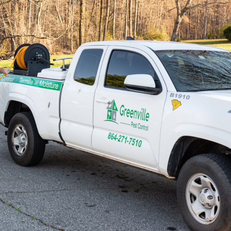 Why Flea And Tick Infestations Spike In Warmer Months - Greenville Pest ...